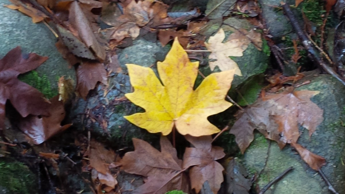 So long October! – Fit Fuel Fearless